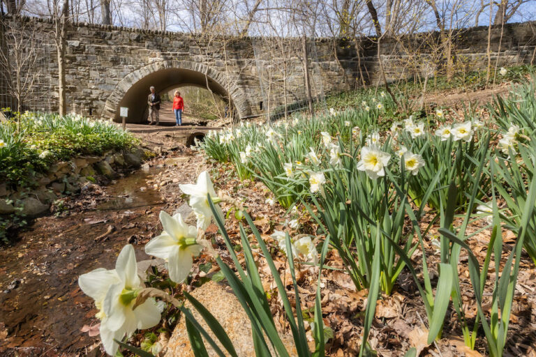 Home - Tregaron Conservancy