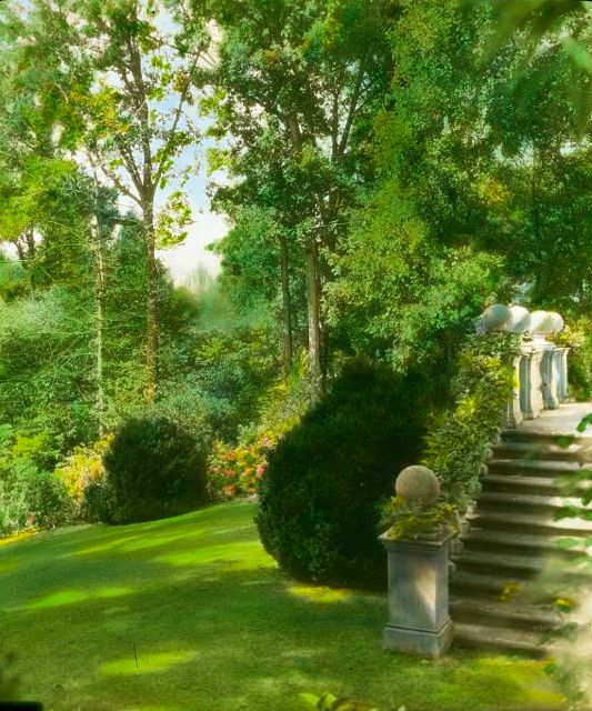 History of the Tregaron Estate - Tregaron Conservancy