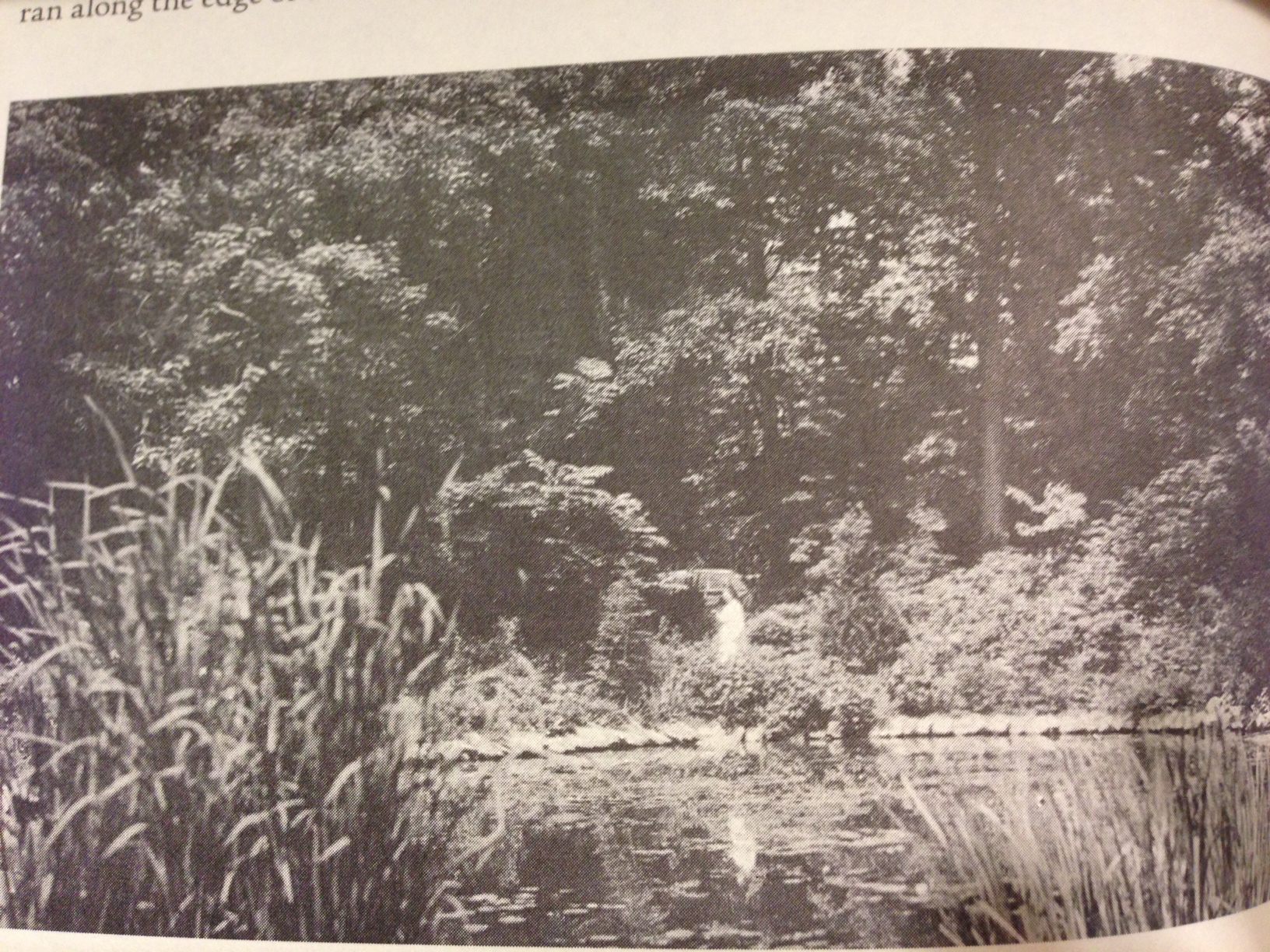 History of the Tregaron Estate - Tregaron Conservancy
