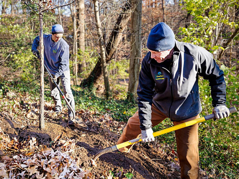 Volunteer - Tregaron Conservancy