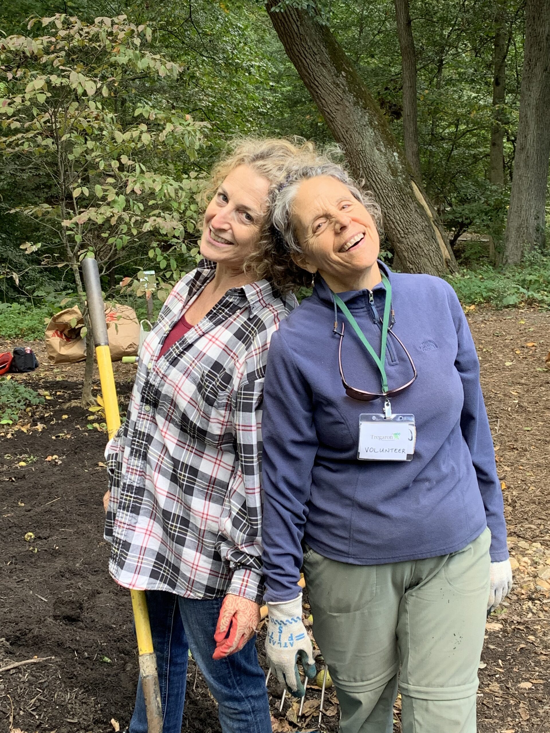Current Projects - Tregaron Conservancy